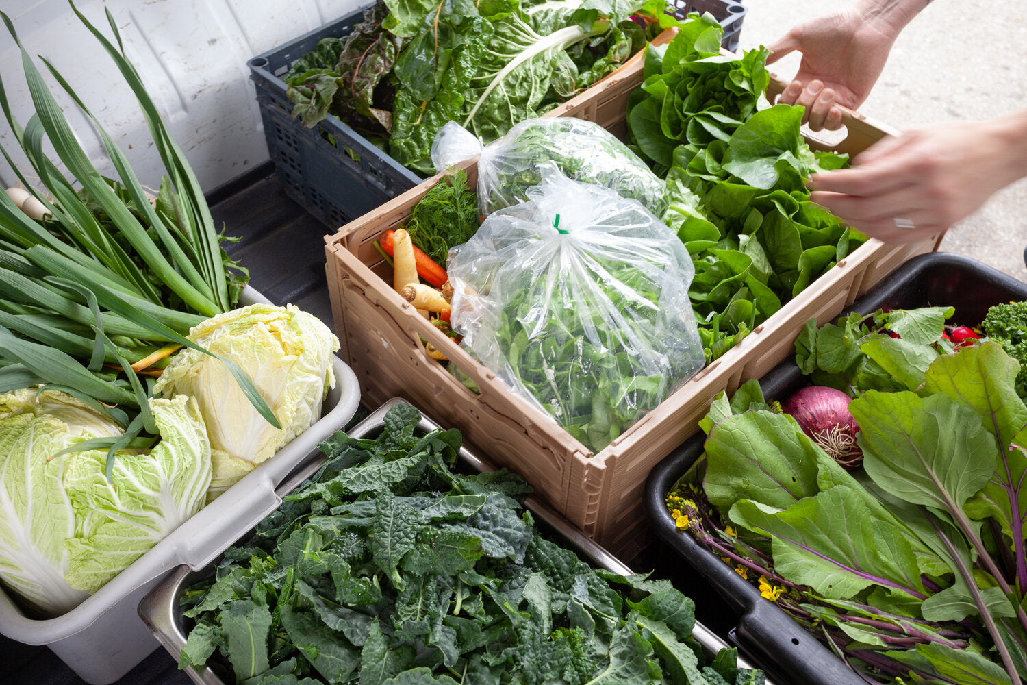 How It Works – Redstart Foods