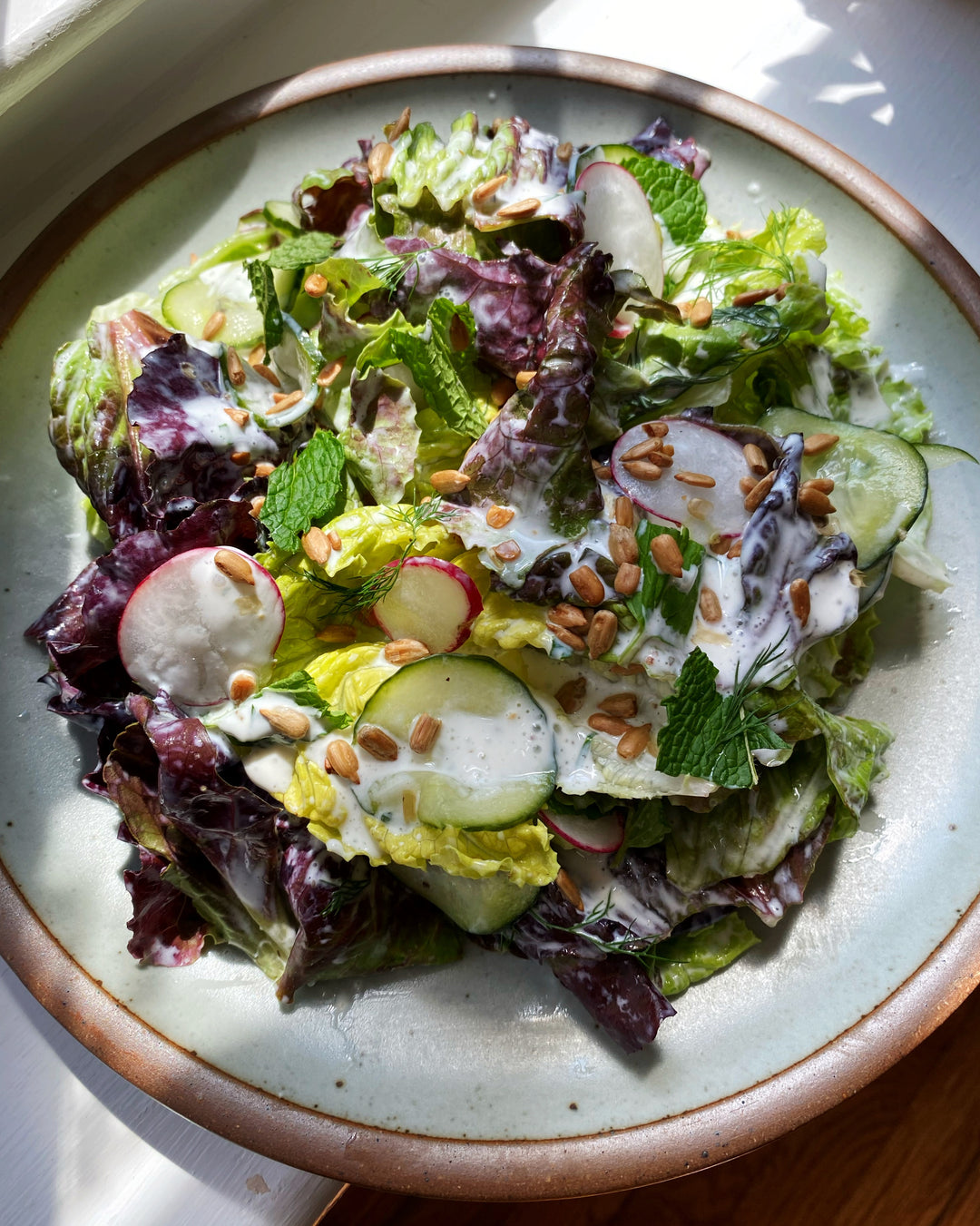 Red Leaf Lettuce Salad w/ Kefir Dressing, Cucumbers & Radishes ...