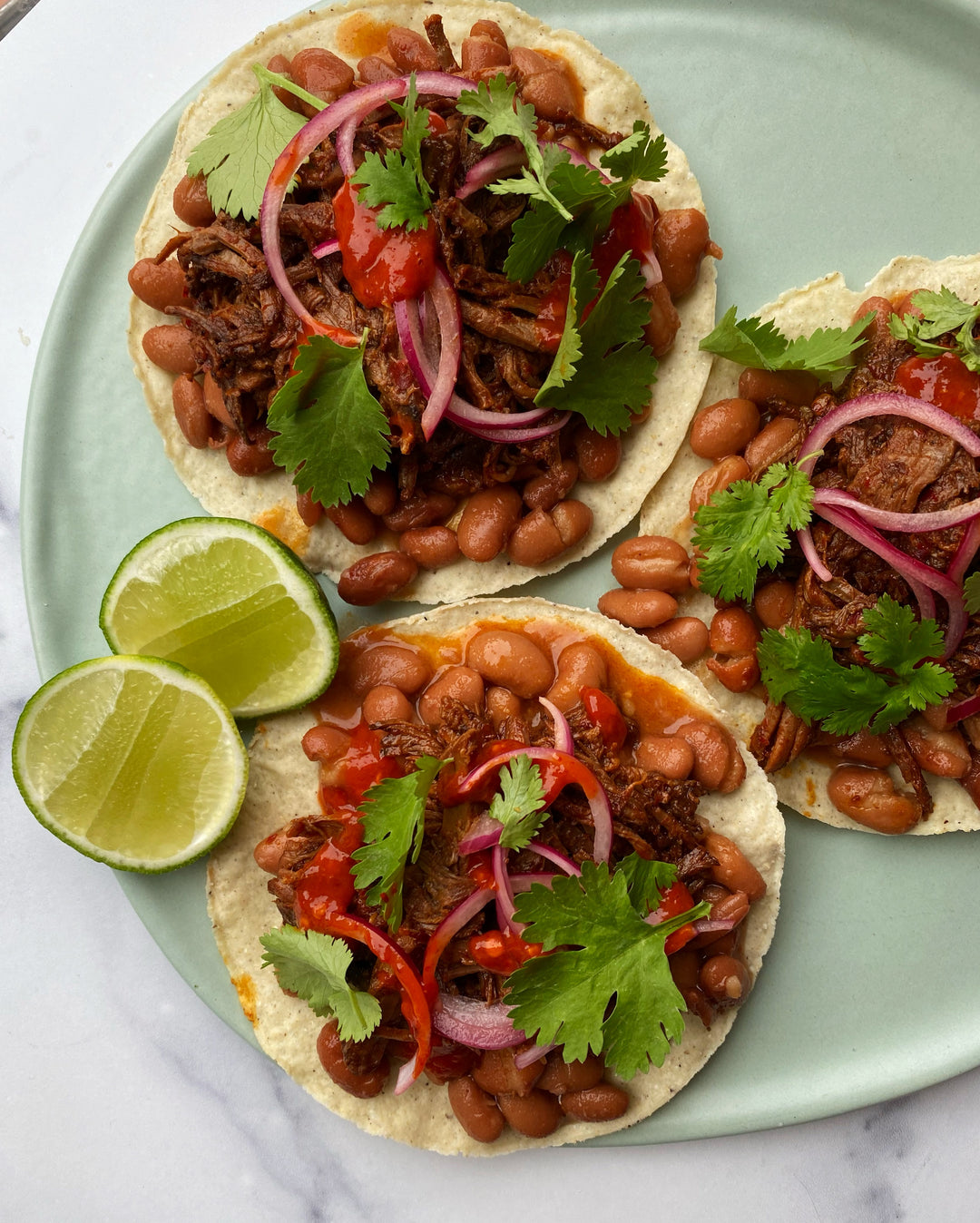 Barbacoa Tostada Kit – Redstart Foods